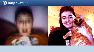 cat screech Meme Sound Effect - Voicy