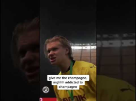 You Have To Try Schnitzel Meme Sound Effect - Voicy