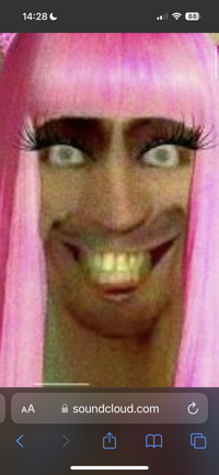 this is so skibidi Meme Sound Effect - Voicy