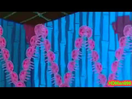 spongebob jellyfish jam Meme Sound Effect - Voicy