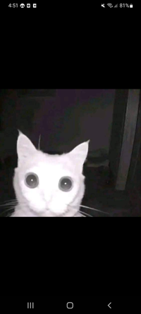 El zapato Meme Sound Effect - Voicy