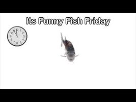 Funny Fish Friday Meme Sound Effect - Voicy