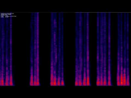 Sidestep On Solid Wood Meme Sound Effect - Voicy