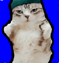 By voicy.network 💀💀👽👽🌚🌚 Meme Sound Effect - Voicy