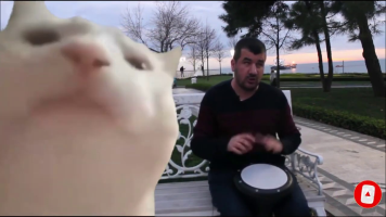 Cat Vibing Meme Sound Effect - Voicy