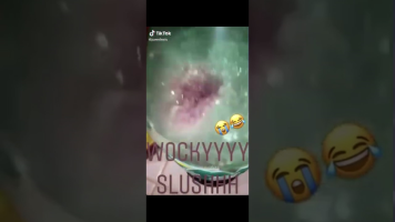 Wocky Slush Meme Sound Effect - Voicy