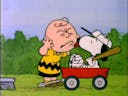 Charlie Brown wah wah teacher Meme Sound Effect - Voicy