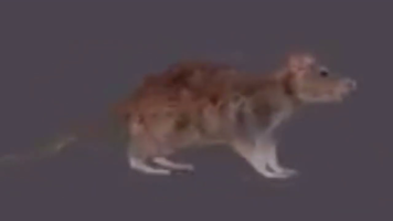 Ewww Sounds and Sound Effects - Voicy
