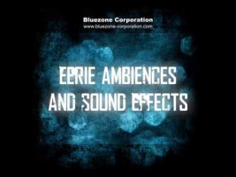 Eerie Sounds Meme Sound Effect - Voicy