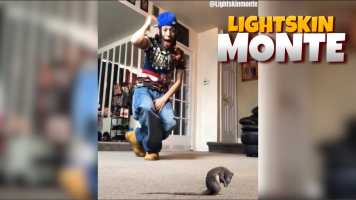 oh shii a rat Meme Sound Effect - Voicy