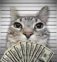 Double Tap Sounds and Sound Effects - Voicy