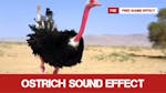 Official Ostrich Sound Effects Soundboard - Voicy