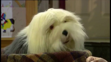 Mwah Sounds and Sound Effects - Voicy