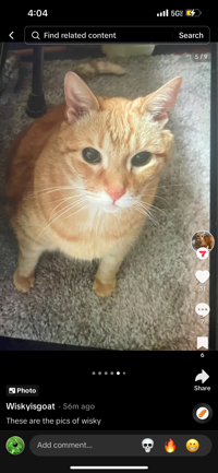 Chu Papi mañana Meme Sound Effect - Voicy