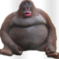 Uh Oh Stinky Monkey Meme Sound Effect - Voicy