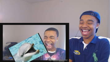 FlightReacts Dolphin Laugh Roast Comp REACTION! Meme Sound Effect - Voicy