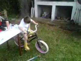 el unico arbol que hay te lo venis a tragar Meme Sound Effect - Voicy