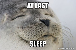 rawr Meme Sound Effect - Voicy