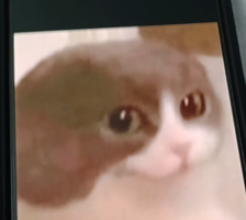 Aku🤩sayang🧐kamu🫂juga🍓sayang💅tapi🦞sayang🐻 Meme Sound Effect - Voicy