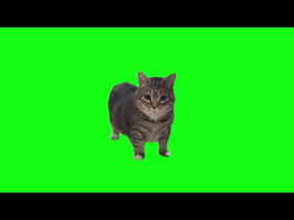 Spinning cat Uia Meme Sound Effect - Voicy