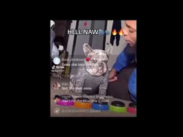 HELL NAW Meme Sound Effect - Voicy