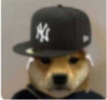 my dog fighting with ben in talking ben Meme Sound Effect - Voicy