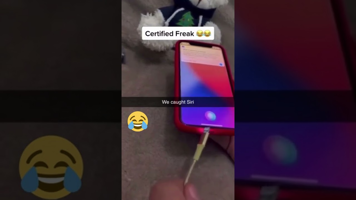 caught siri lacking Meme Sound Effect - Voicy