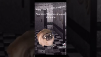 You've been pugged! Meme Sound Effect - Voicy