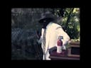What Da Hell! Meme Sound Effect - Voicy