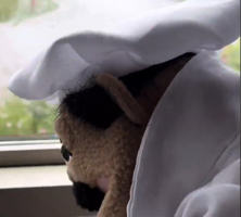 Chef Poo Poo (Crying) Meme Sound Effect - Voicy