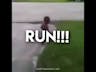 Run Meme Meme Sound Effect - Voicy