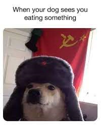 WARRA I DO Meme Sound Effect - Voicy