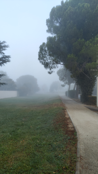 Qui n'a jamais lavé son zeub Meme Sound Effect - Voicy