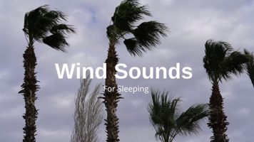 Wind Meme Sound Effect - Voicy