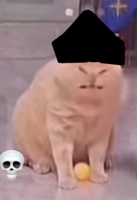 Kick comprobado Meme Sound Effect - Voicy