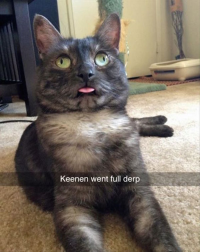 get beamed Meme Sound Effect - Voicy