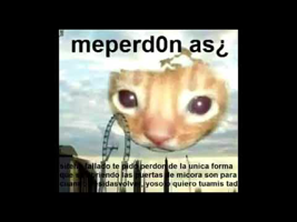 me perdonas Meme Sound Effect - Voicy