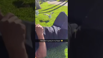 goin for me floppa Meme Sound Effect - Voicy