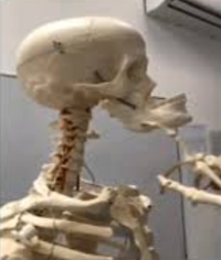 No rights Meme Sound Effect - Voicy