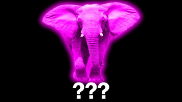10 Elephant Sound Variations in 19 Seconds Meme Sound Effect - Voicy