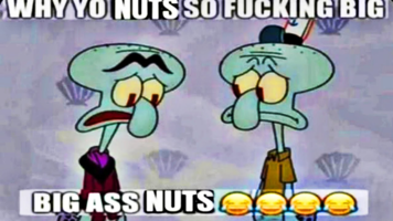 Why Your Nuts So Big Bro? (squidward's big balls meme) Meme Sound Effect - Voicy
