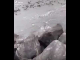 wee Meme Sound Effect - Voicy