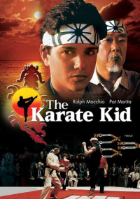 Wax on, wax off Meme Sound Effect - Voicy