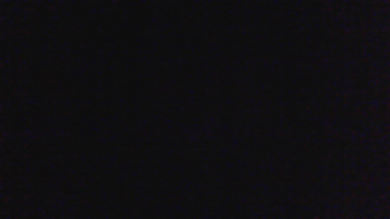 Catnap Meme Sound Effect - Voicy