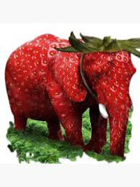 Strawberry Elephant Meme Sound Effect - Voicy