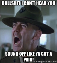 Sgt. Hartman Sound off Meme Sound Effect - Voicy