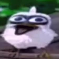 laughing bird meme Meme Sound Effect - Voicy