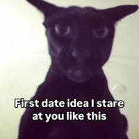 Play sound at your own risk Meme Sound Effect - Voicy