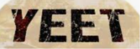 YEET (Slowed to 50%) Meme Sound Effect - Voicy