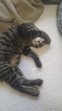 Parry Sounds and Sound Effects - Voicy